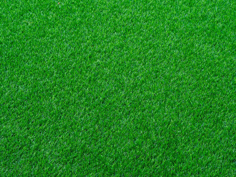 Accueil | Le réseau d’Experts Nutrite