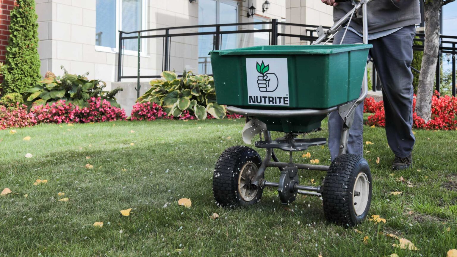 3-step fertilization for a healthy and durable lawn