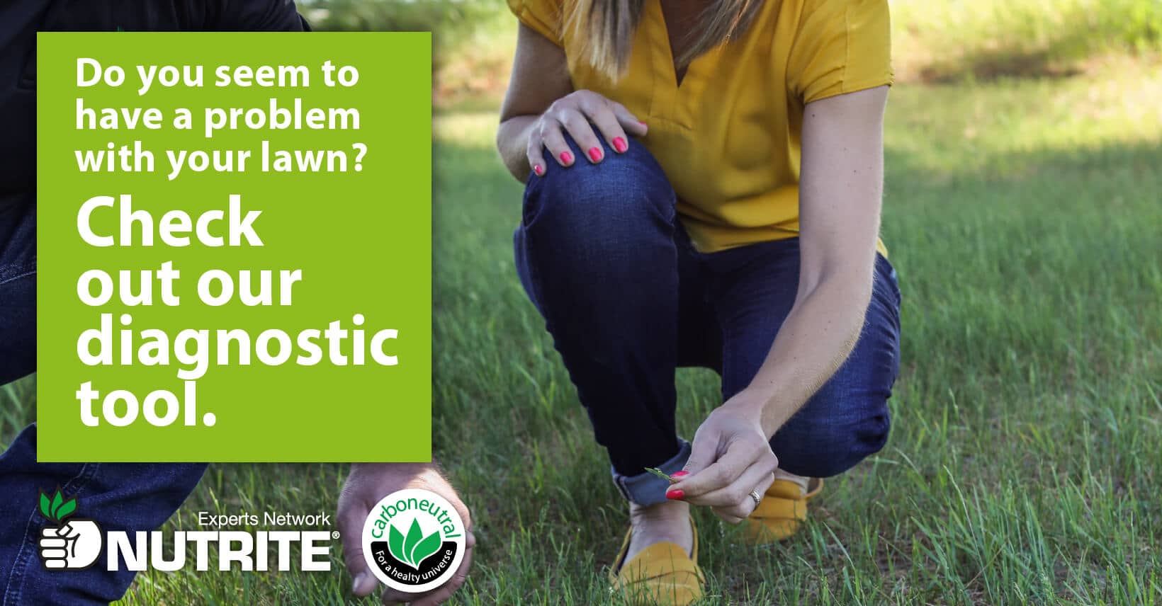 Lawn problems? Identify them with the diagnostic tool